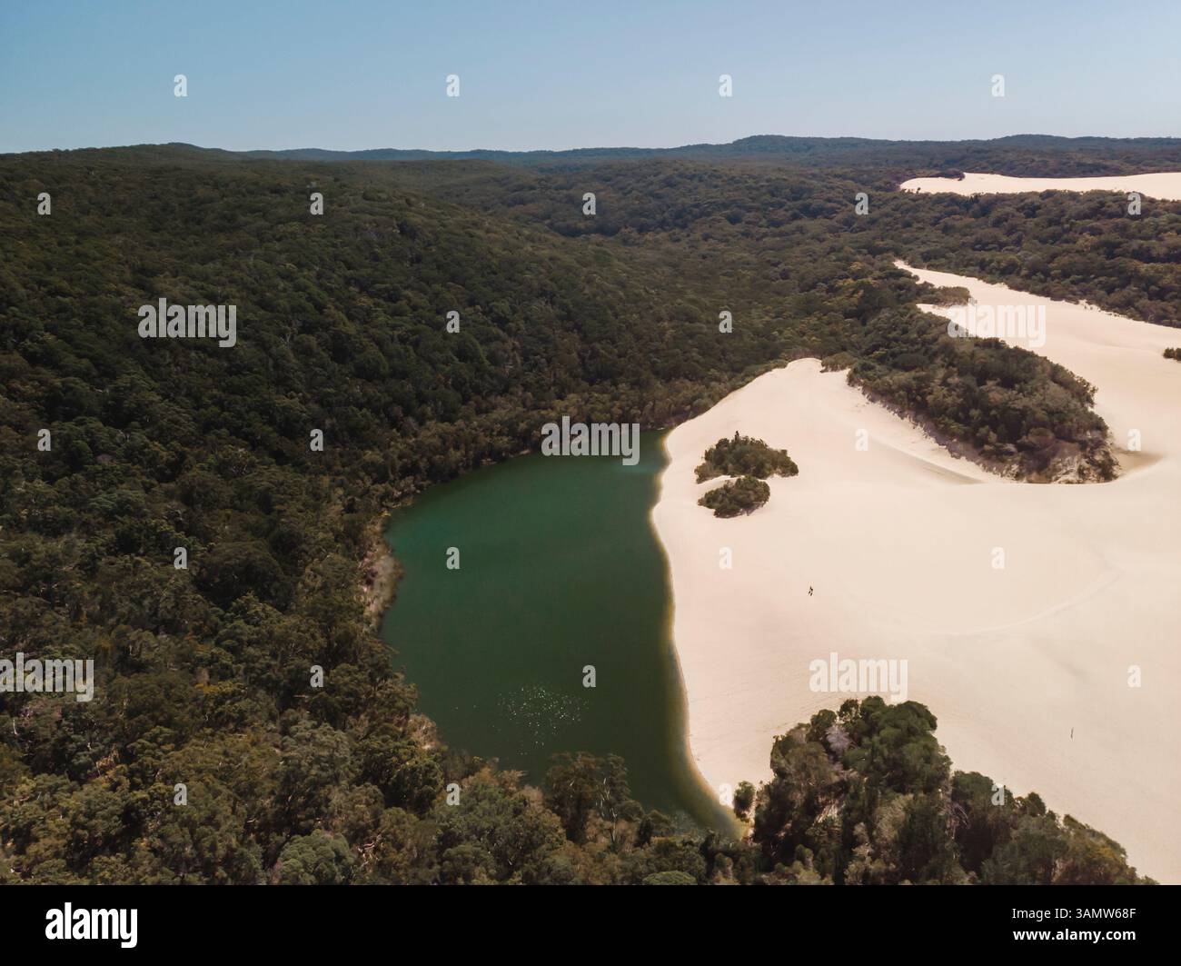 Aerial view of Lake Wabby surrounded by lush rainforest and a massive ...