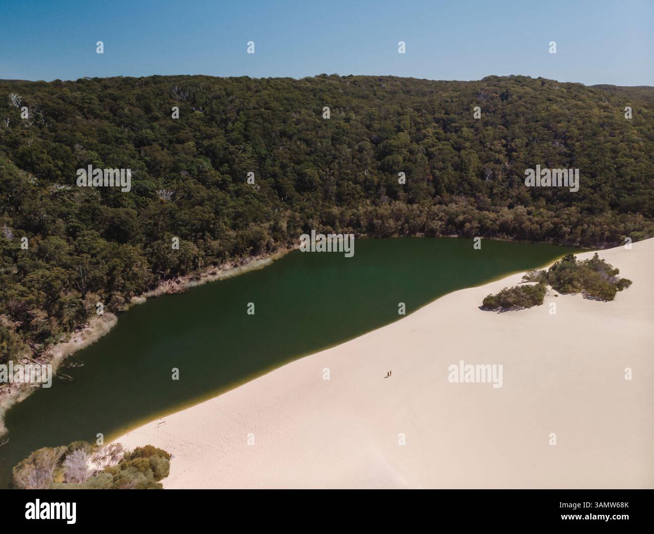 Aerial view of Lake Wabby surrounded by lush rainforest and a massive ...