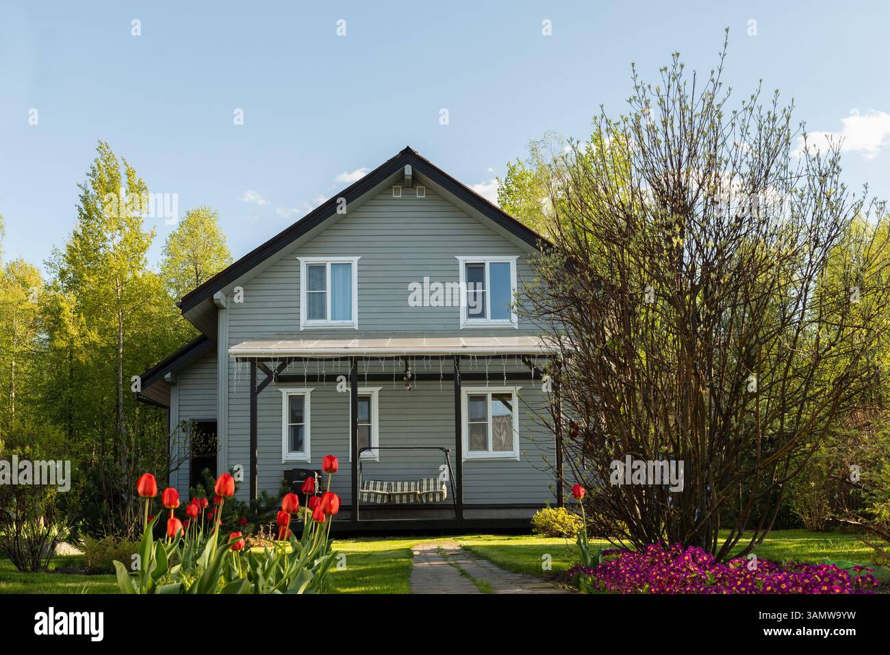 Contemporary wooden house have nice landscaping, with shrubs, green lawn and spring flowers ...