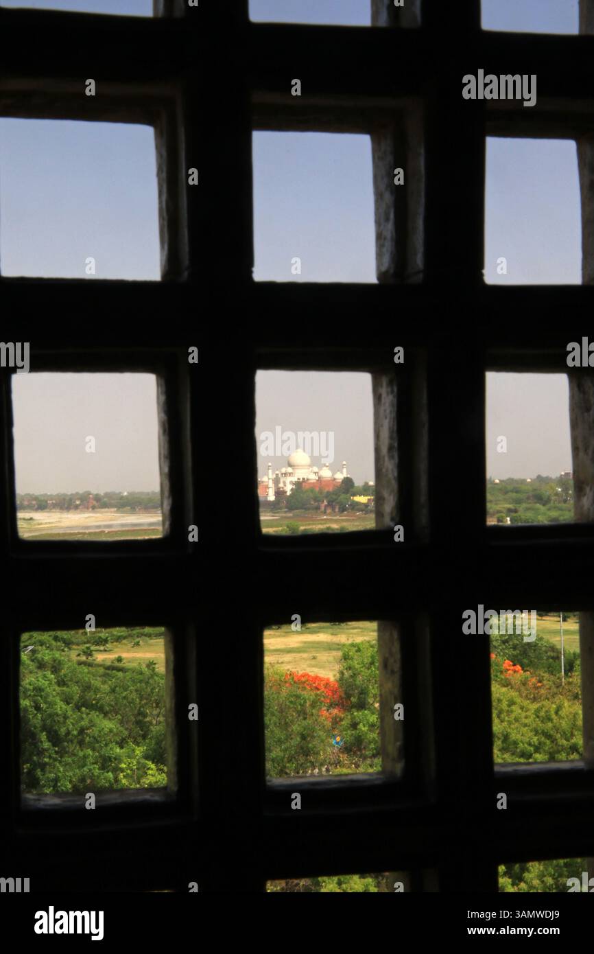 View of Taj Mahal from Agra Fort, India Stock Photo - Alamy