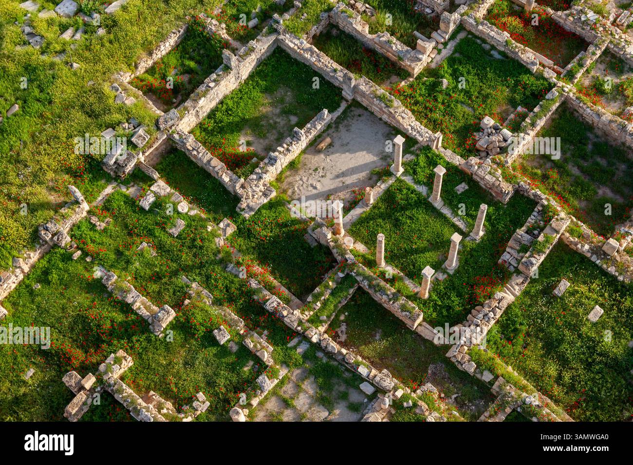 Aerial view of ancient ruins and stone structures surrounded by ...