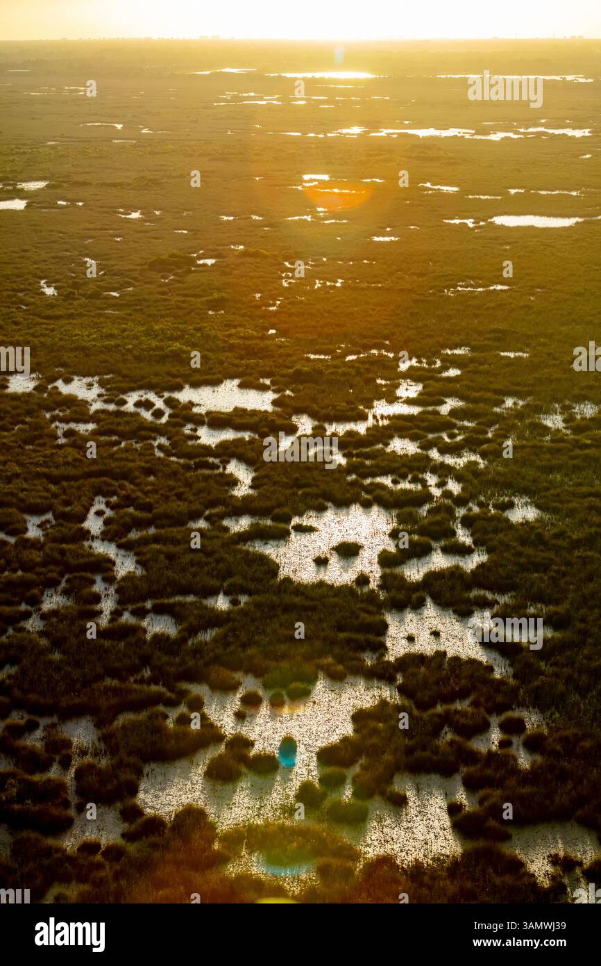 Aerial view of natural Everglades, Palm Beach County, Florida, United ...