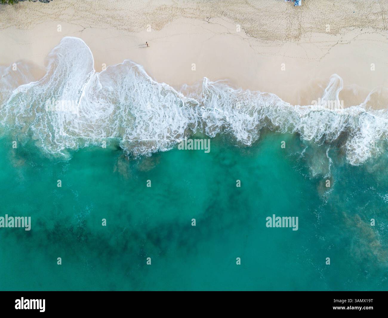 Aerial view of Cabbage beach with sandy shore and blue ocean waves ...