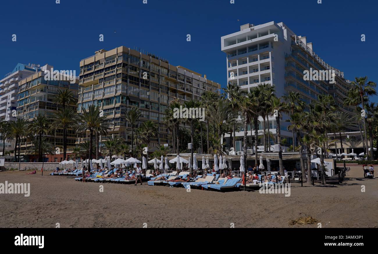 Tourists relaxing on sunbeds at beach resort in Marbella, Spain, during ...