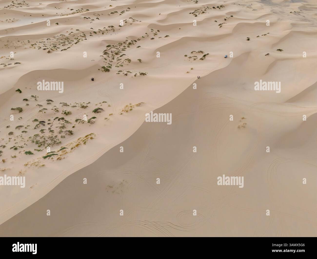 Aerial view of beautiful Samalayuca dunes in a vast arid landscape ...