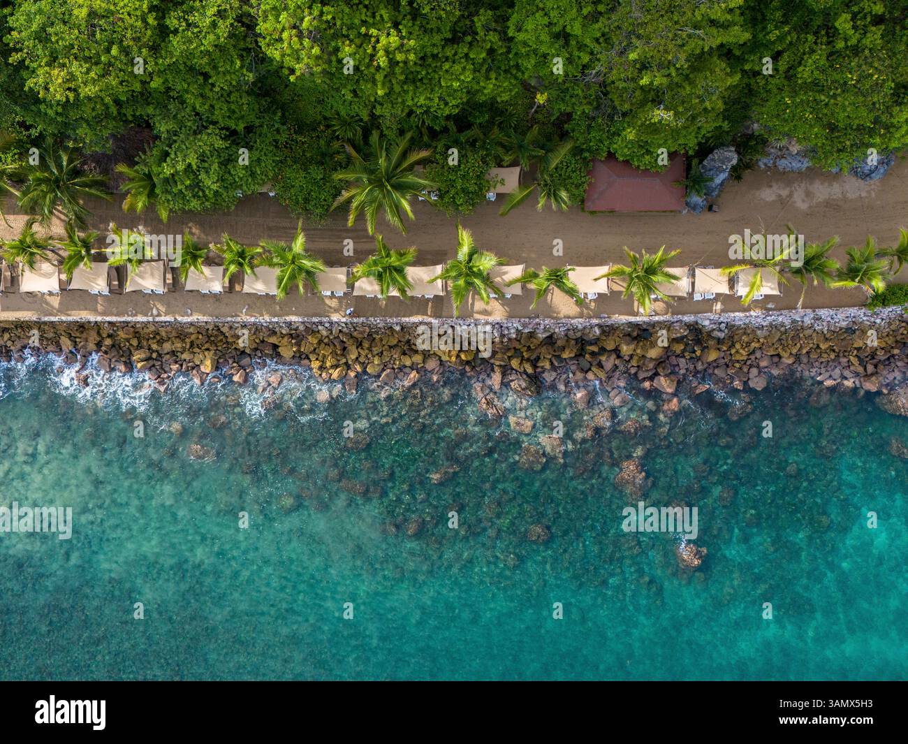 Aerial view of beautiful Ixtapa beach with turquoise water, palm trees ...