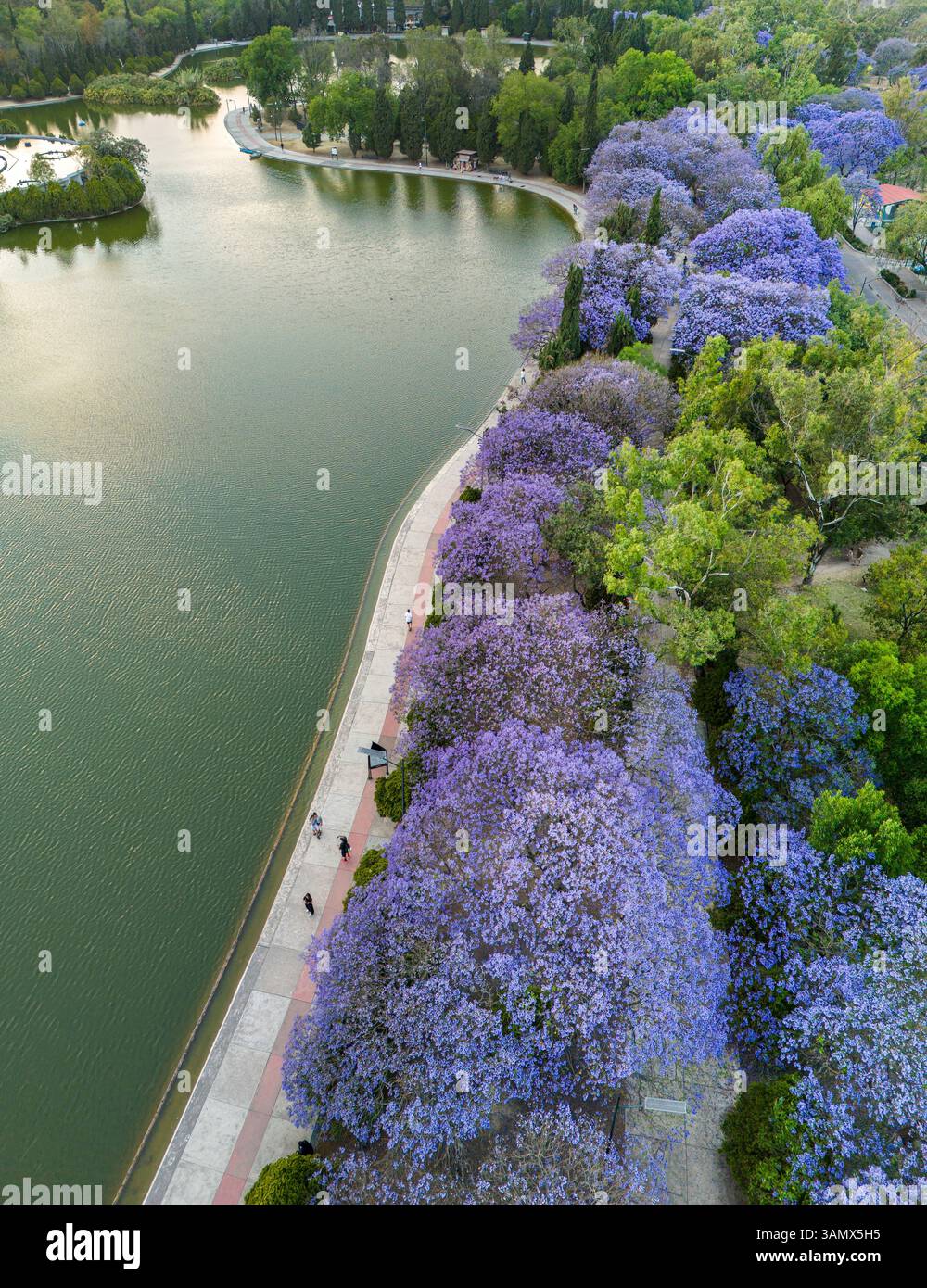 Aerial view of serene Lake Mayor Chapultepec surrounded by vibrant ...