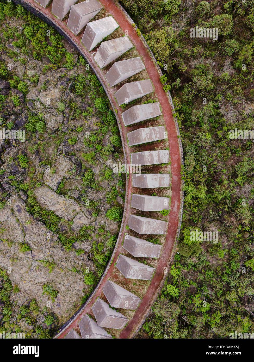 Aerial view of the abstract sculpture surrounded by lush greenery and ...