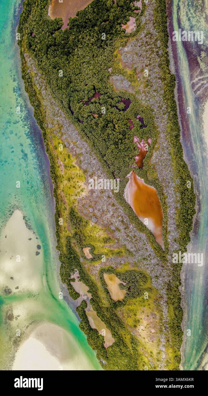Aerial view of vibrant mangroves and tranquil lagoon in Ria Lagartos ...