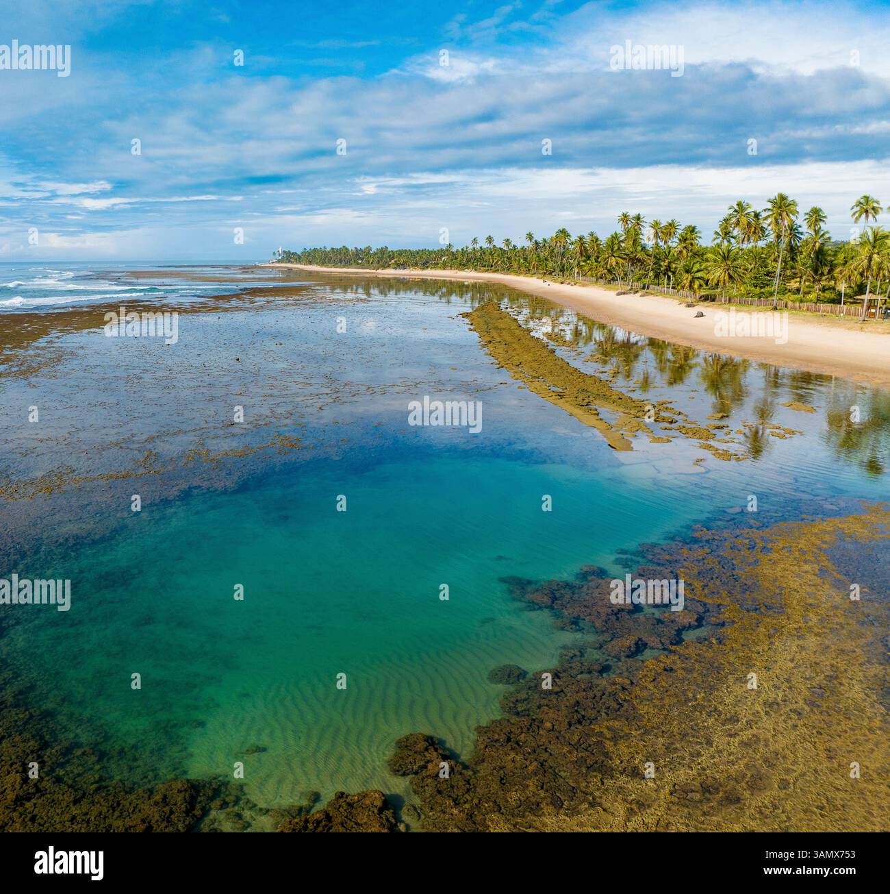 Aerial view of beautiful tropical beach with clear water and palm trees ...