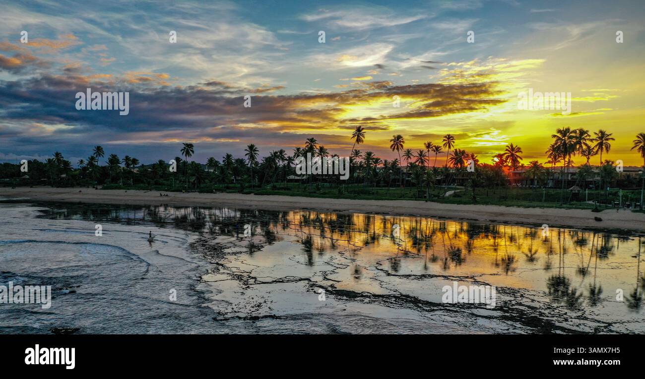 Aerial view of serene sunset over tropical beach with palm trees and ...