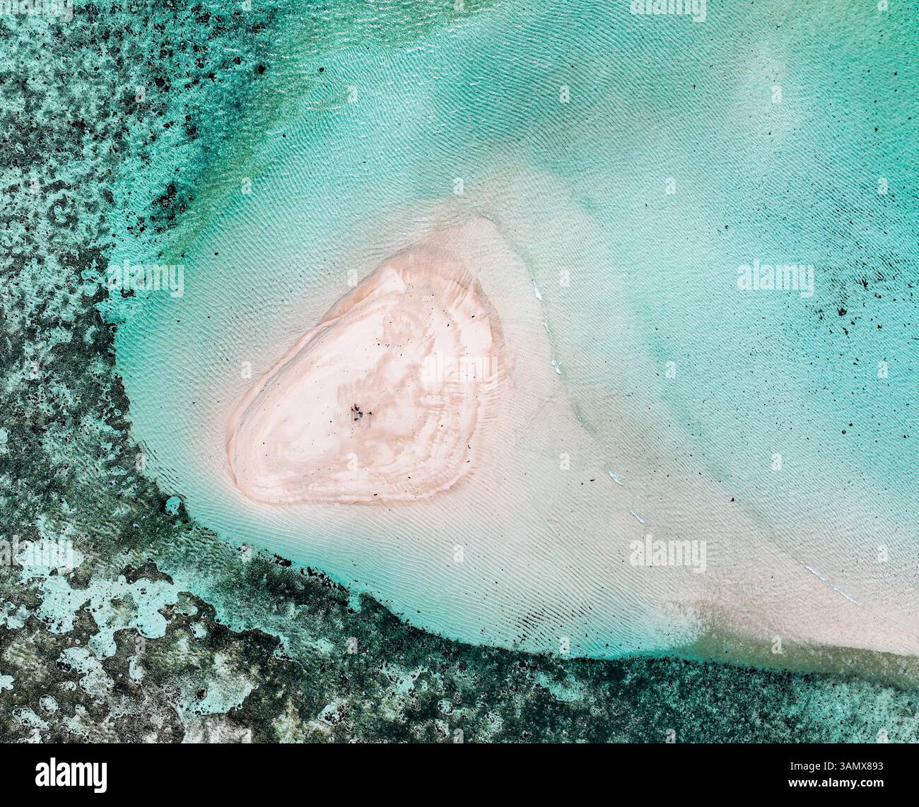 Aerial view of a paradise beach at Morotai Utara island, North Maluku, Indonesia Stock Photo - Alamy