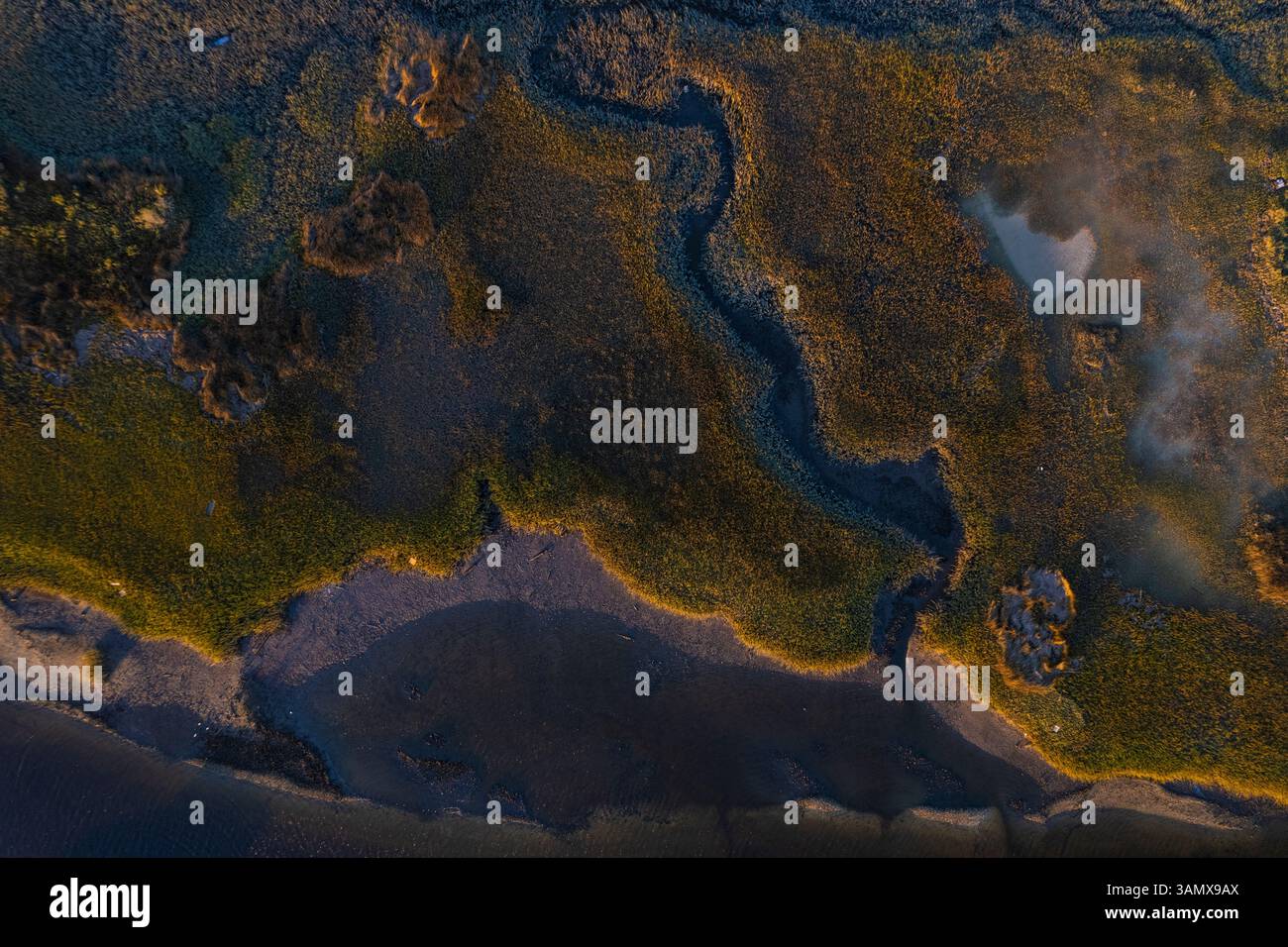 Aerial view of serene wetlands and river with beautiful greenery and ...