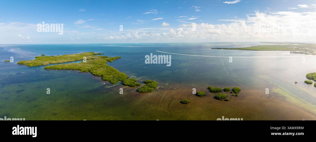 Aerial view of tropical mangroves and serene waters under a sunny sky ...