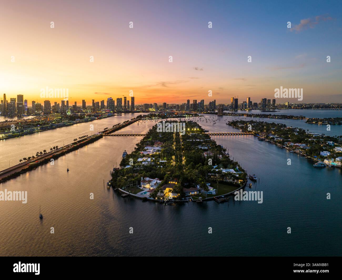 Aerial view of clear skyline over Miami Beach with Palm and Hibiscus ...