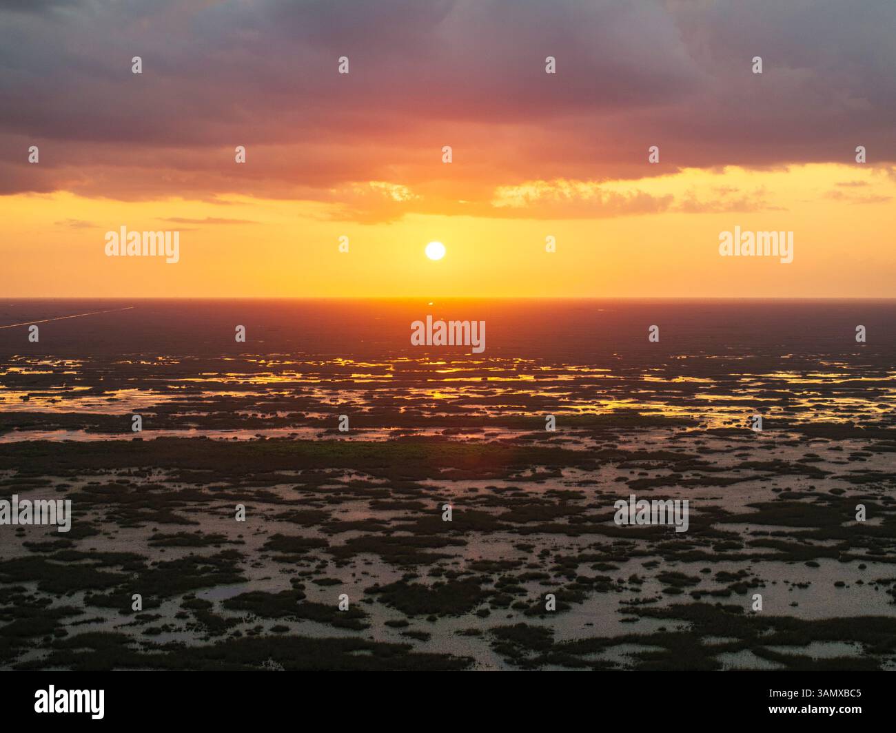 Everglades aerial view florida hi-res stock photography and images - Alamy