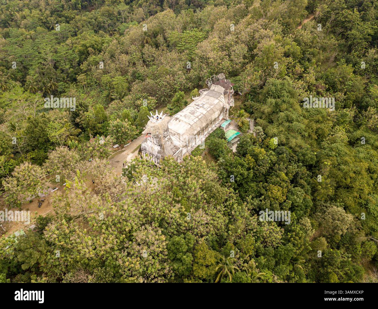 Aerial view of the chicken church called Gereja Ayam, which looks like ...