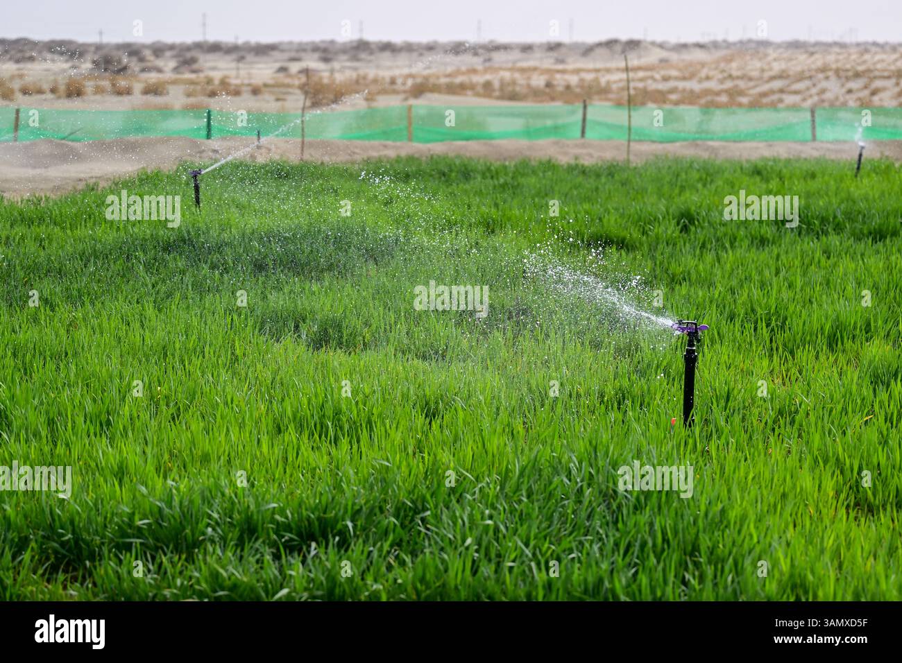 (250414) -- URUMQI, April 14, 2025 (Xinhua) -- This photo taken on ...