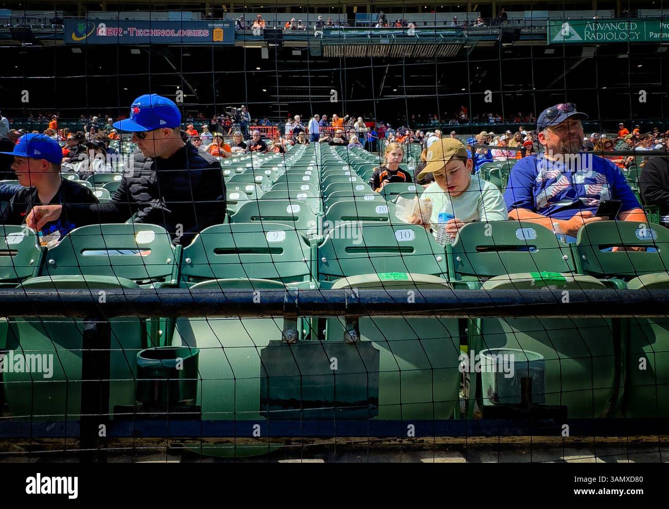 Toronto Blue Jays fans in another teams stadium Stock Photo - Alamy