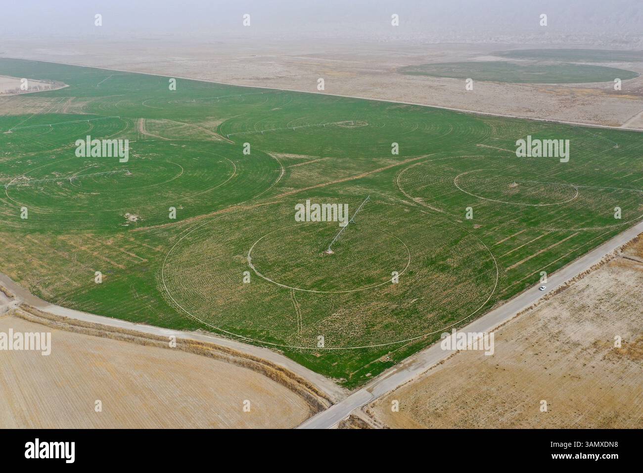 (250414) -- URUMQI, April 14, 2025 (Xinhua) -- An aerial drone photo ...