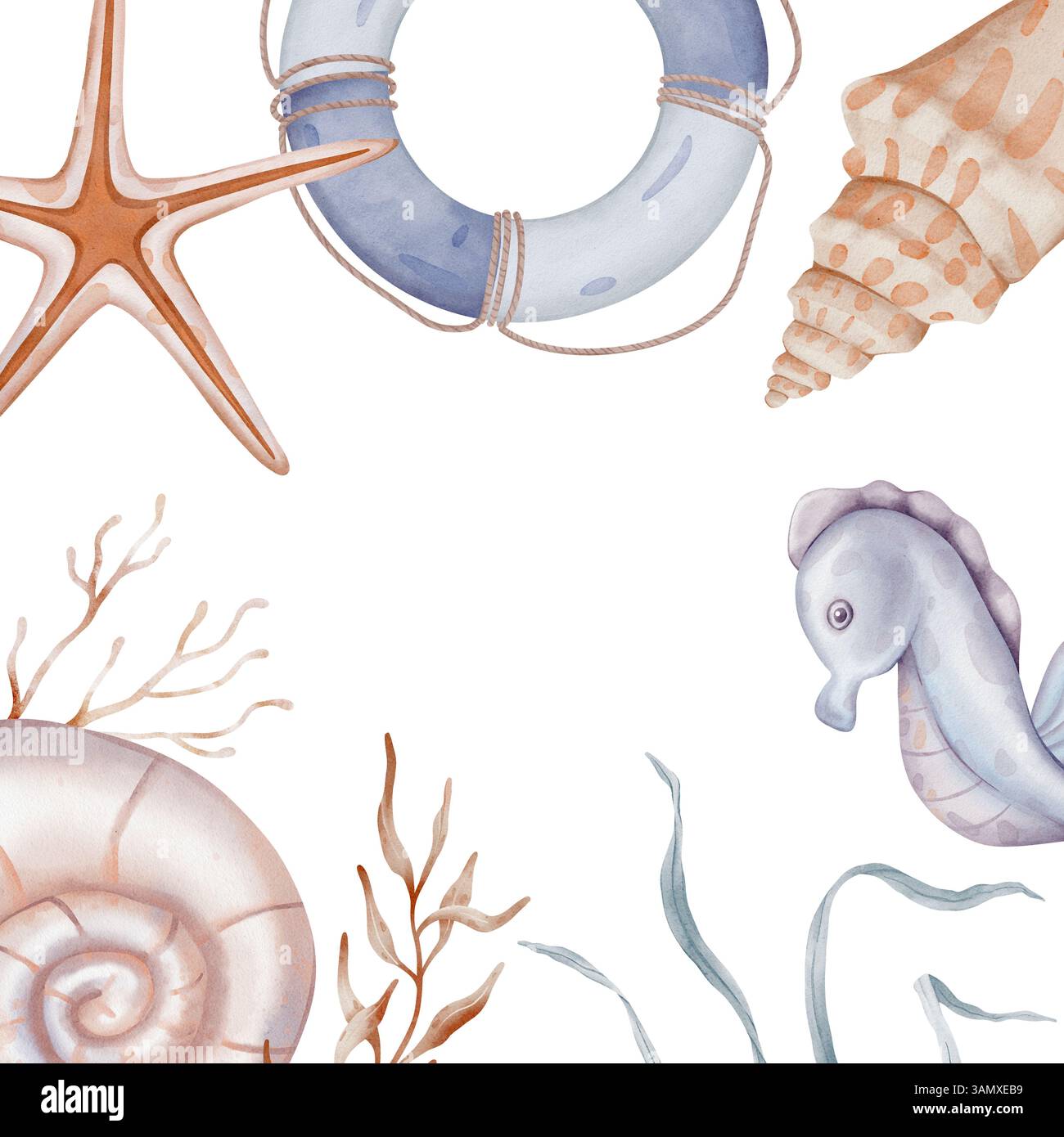 Underwater square frame with Corals, Seaweeds and Seashells and Sea ...