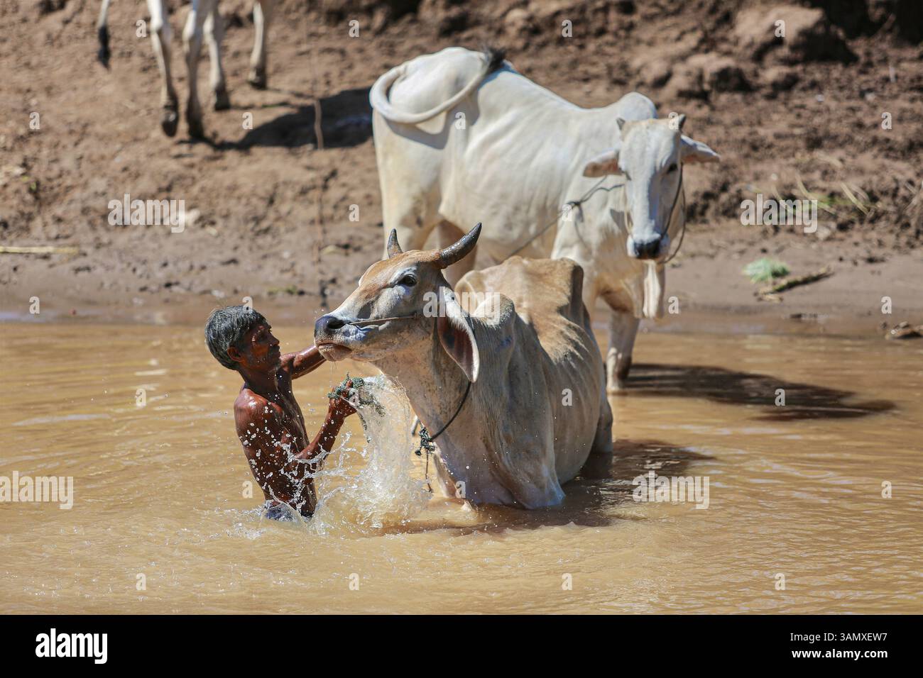 High temperatures in southeast asia hi-res stock photography and images ...