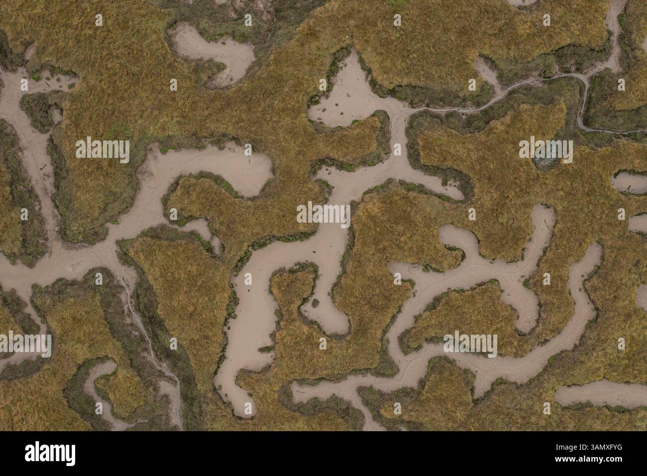 Aerial top down view of abstract patterns made by the river in ...