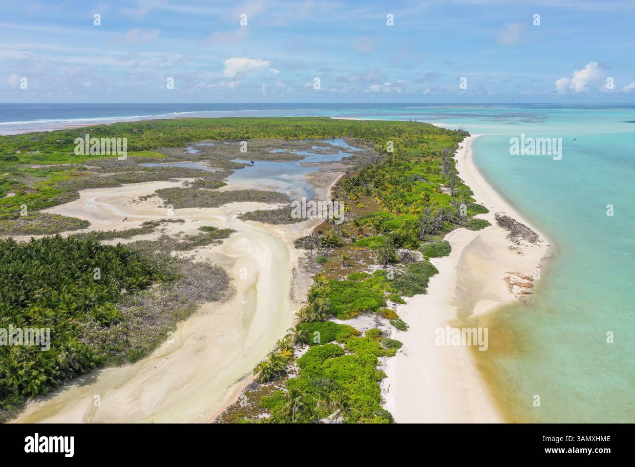 Aerial view of the red-footed booby colony at Farquhar atoll ...