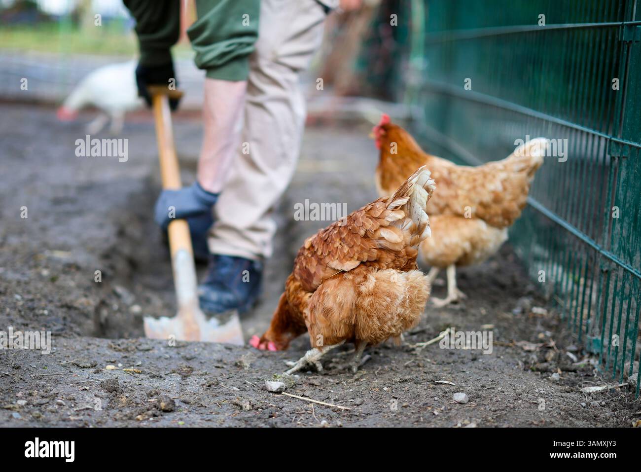 PRODUCTION - 14 April 2025, North Rhine-Westphalia, Castrop-Rauxel: An ...