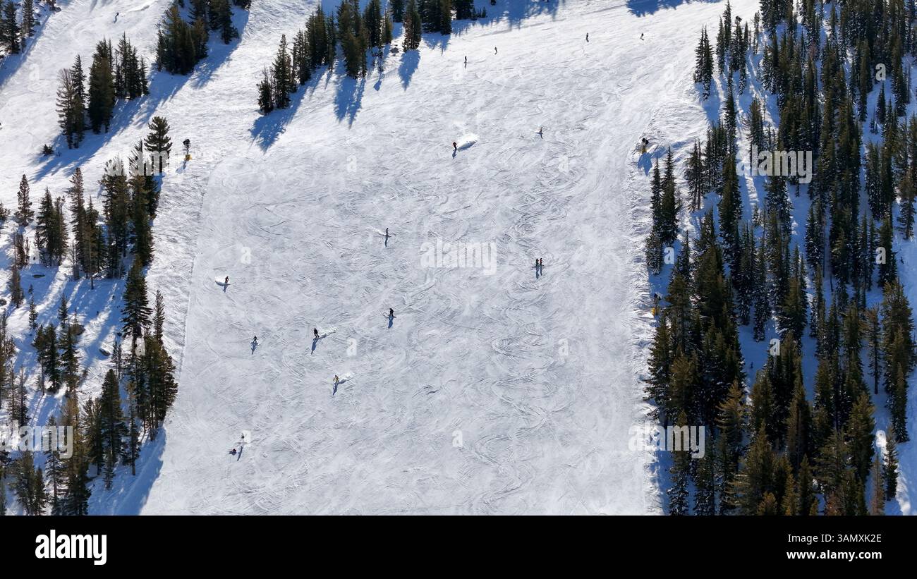 Aerial view of skiers on snowy slopes surrounded by pine trees and ...