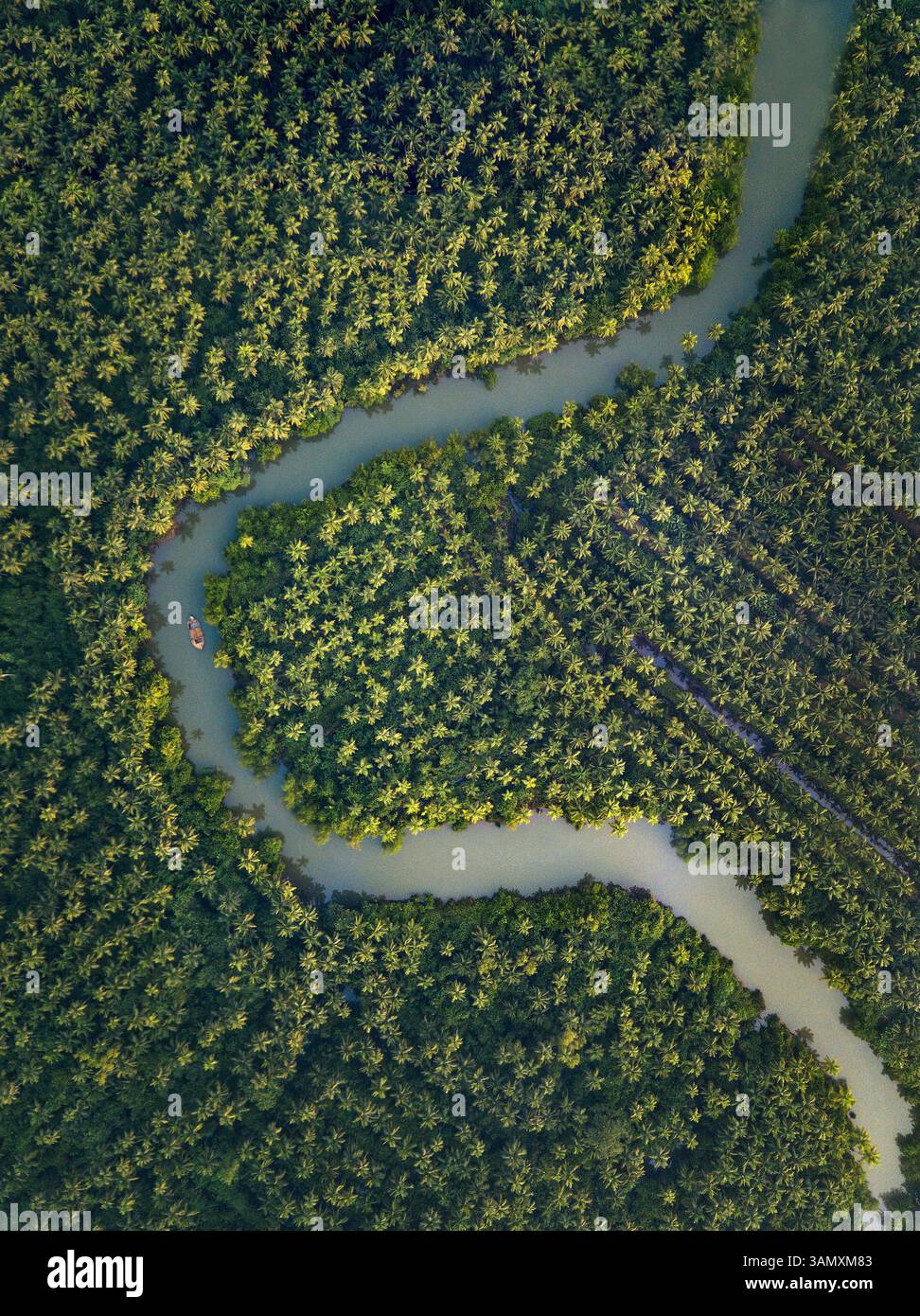 Aerial view of a river crossing a forest with palm trees in South Goa ...
