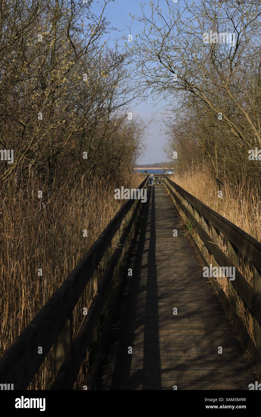 Platform broad walk hi-res stock photography and images - Alamy