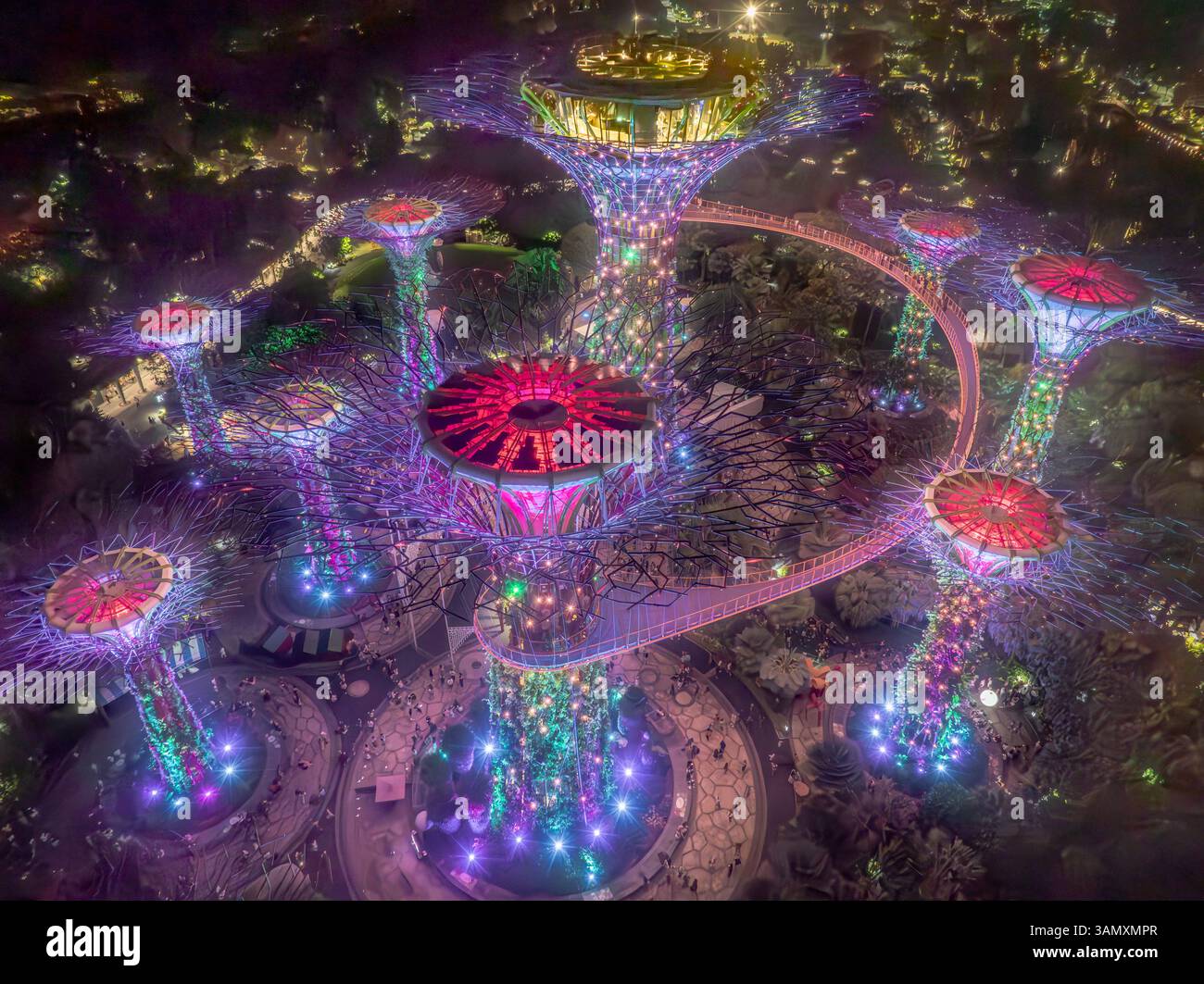 Aerial view of glowing super trees and gardens by the bay at night ...