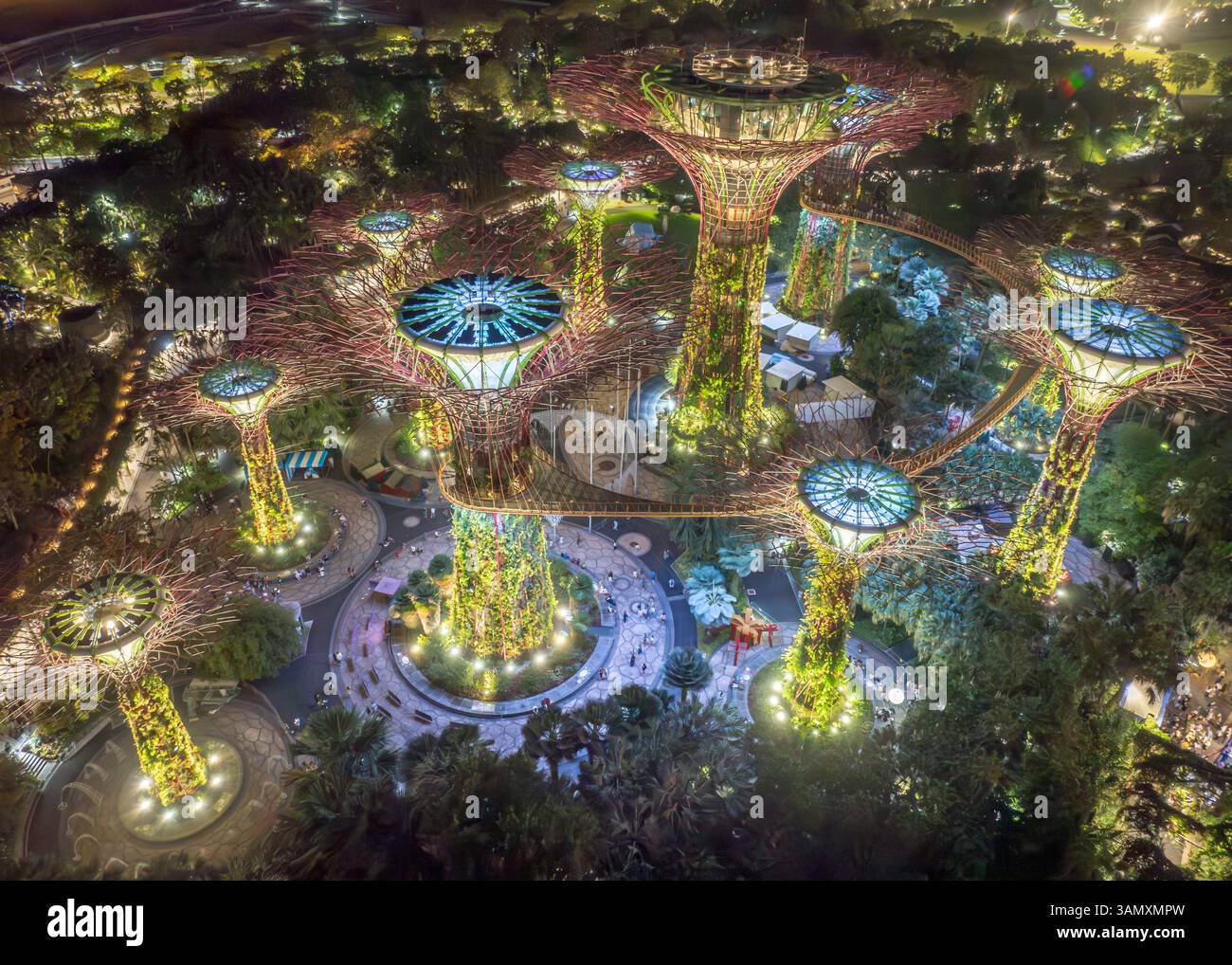 Aerial view of glowing super trees and gardens by the bay at night ...