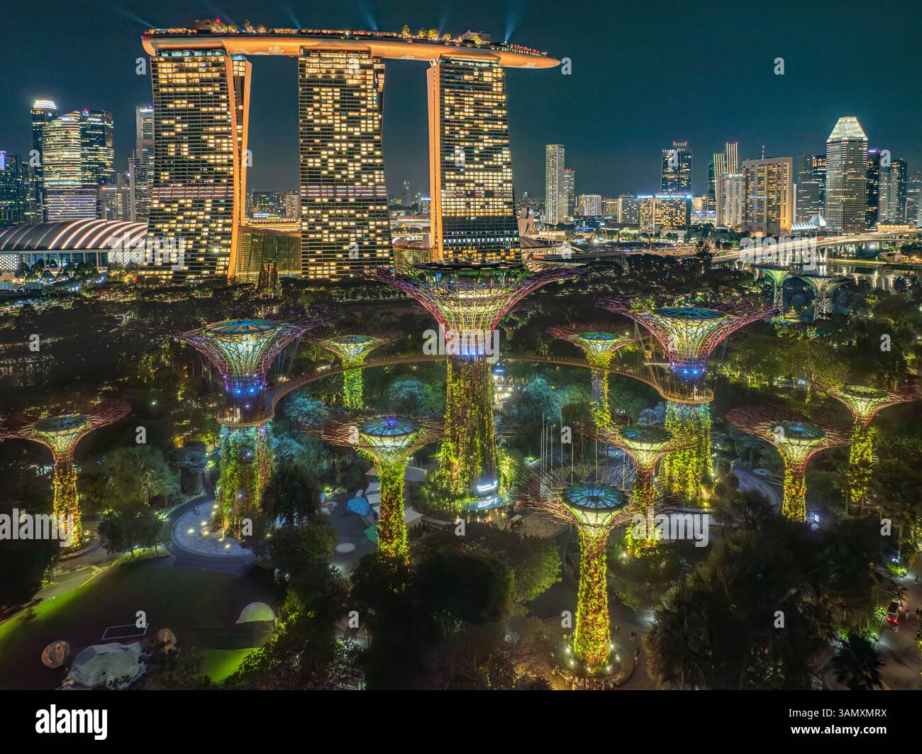 Aerial view of glowing super trees and marina bay cityscape at night, Marina South, Singapore ...