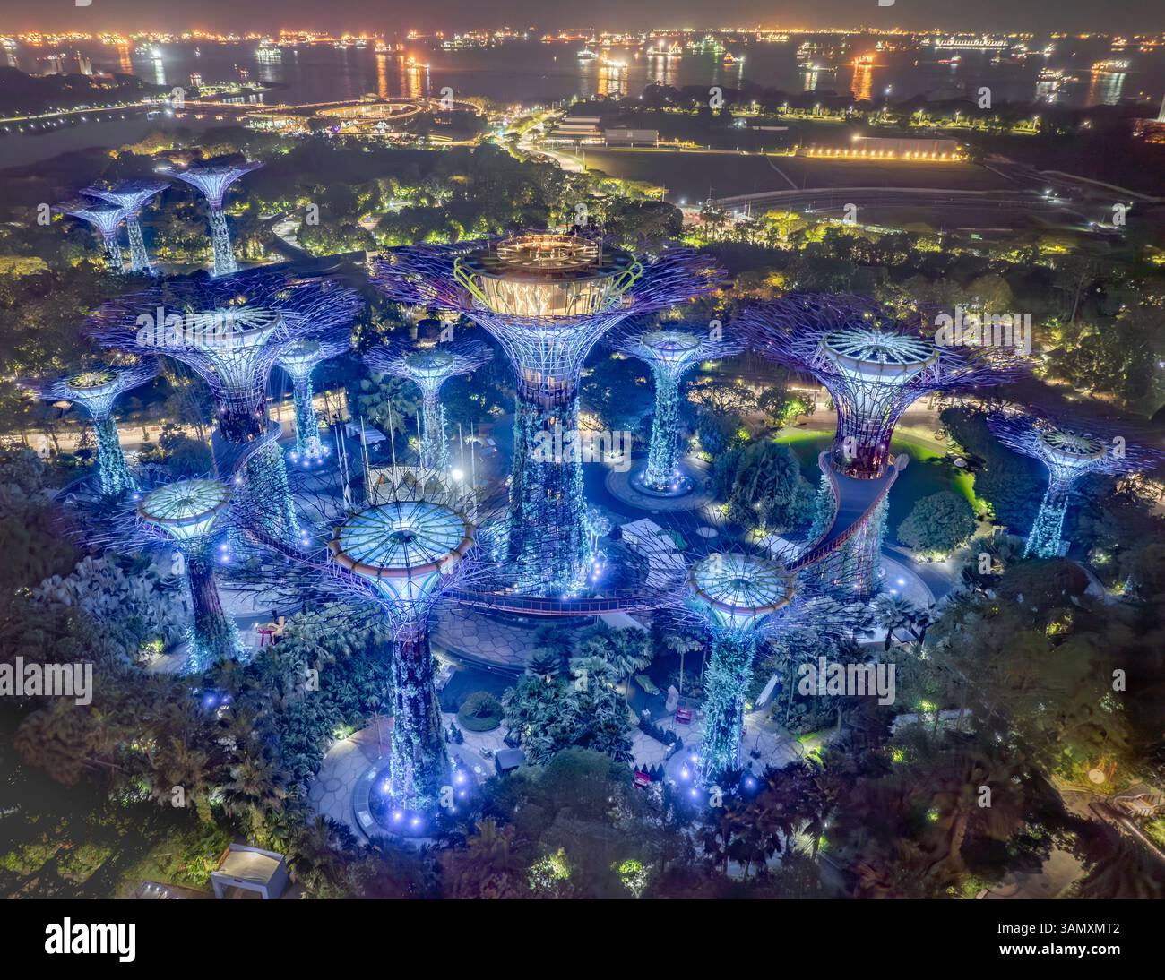 Aerial view of glowing super trees and gardens by the bay at night ...