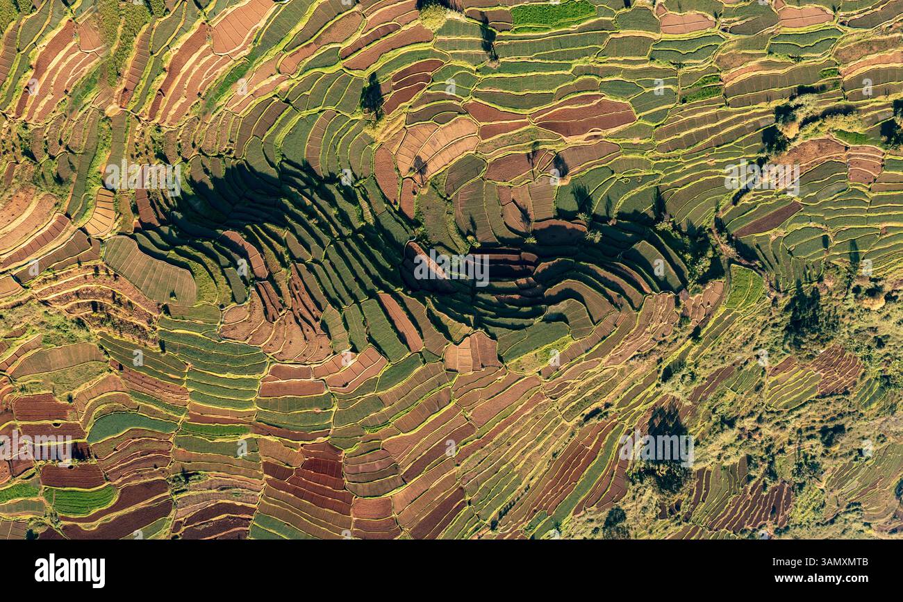 Aerial view of Polur Village terrace fields in Tamil Nadu region, Kodai ...