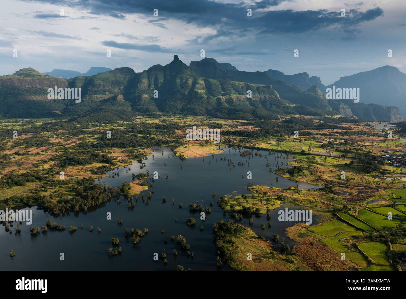 Aerial view of lush greenery and serene lake with reflection ...