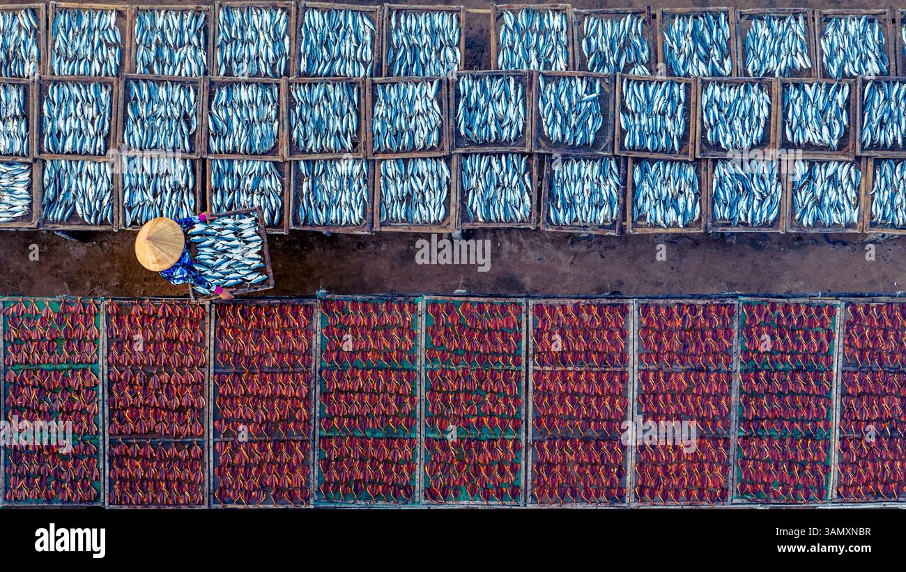 Aerial view of drying fish on racks with workers in straw hats, Long ...