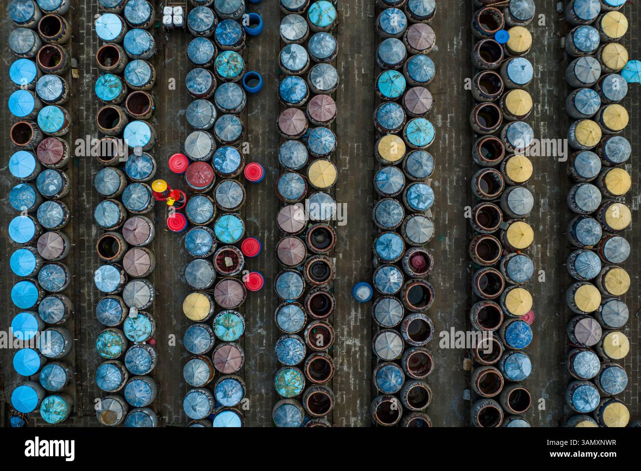 Aerial view of vibrant traditional fish sauce production in clay urns ...