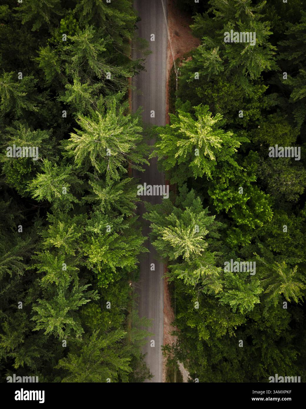 Brantingham road hi-res stock photography and images - Alamy