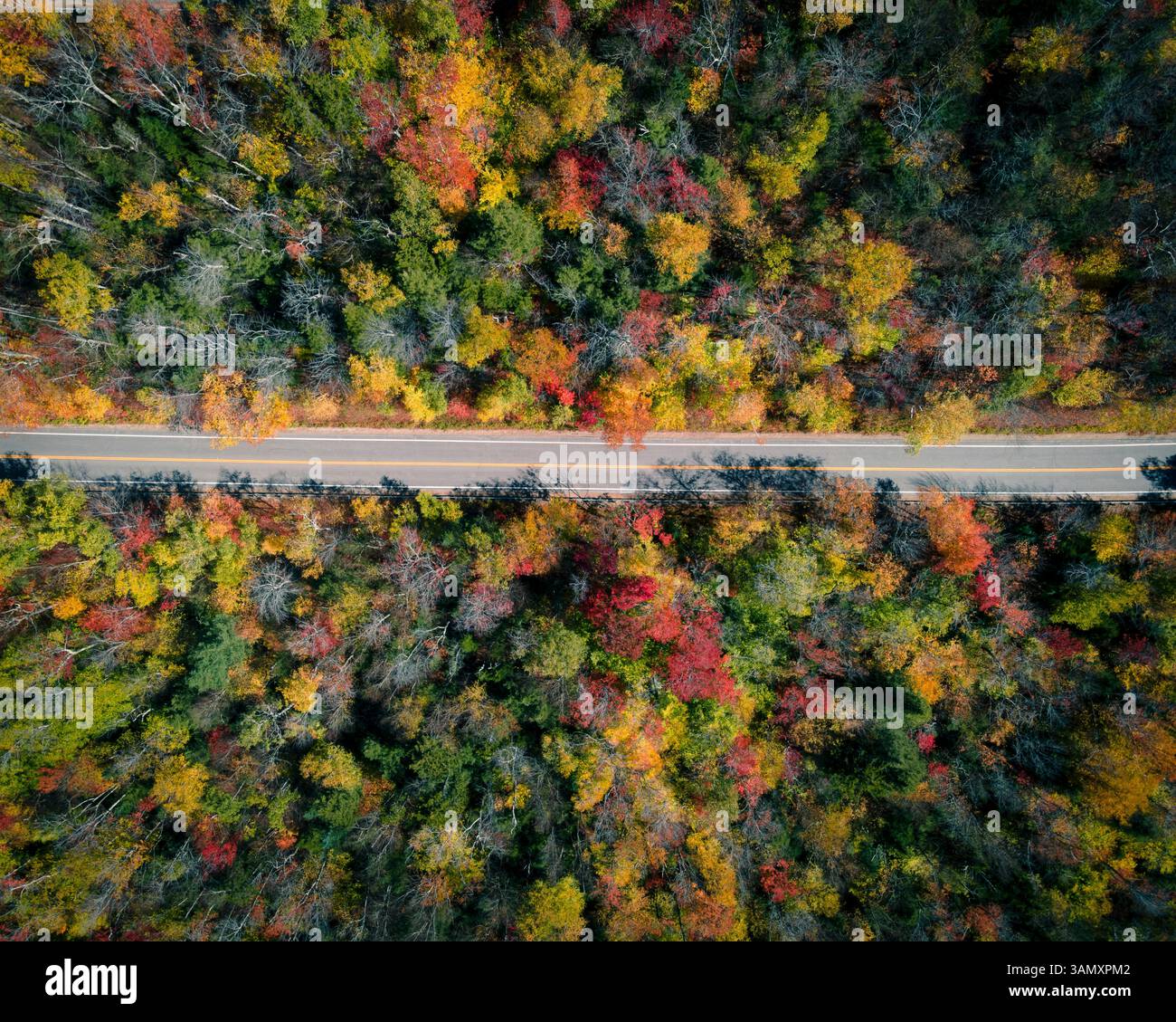 Aerial view of vibrant autumn foliage along the winding Kancamagus ...
