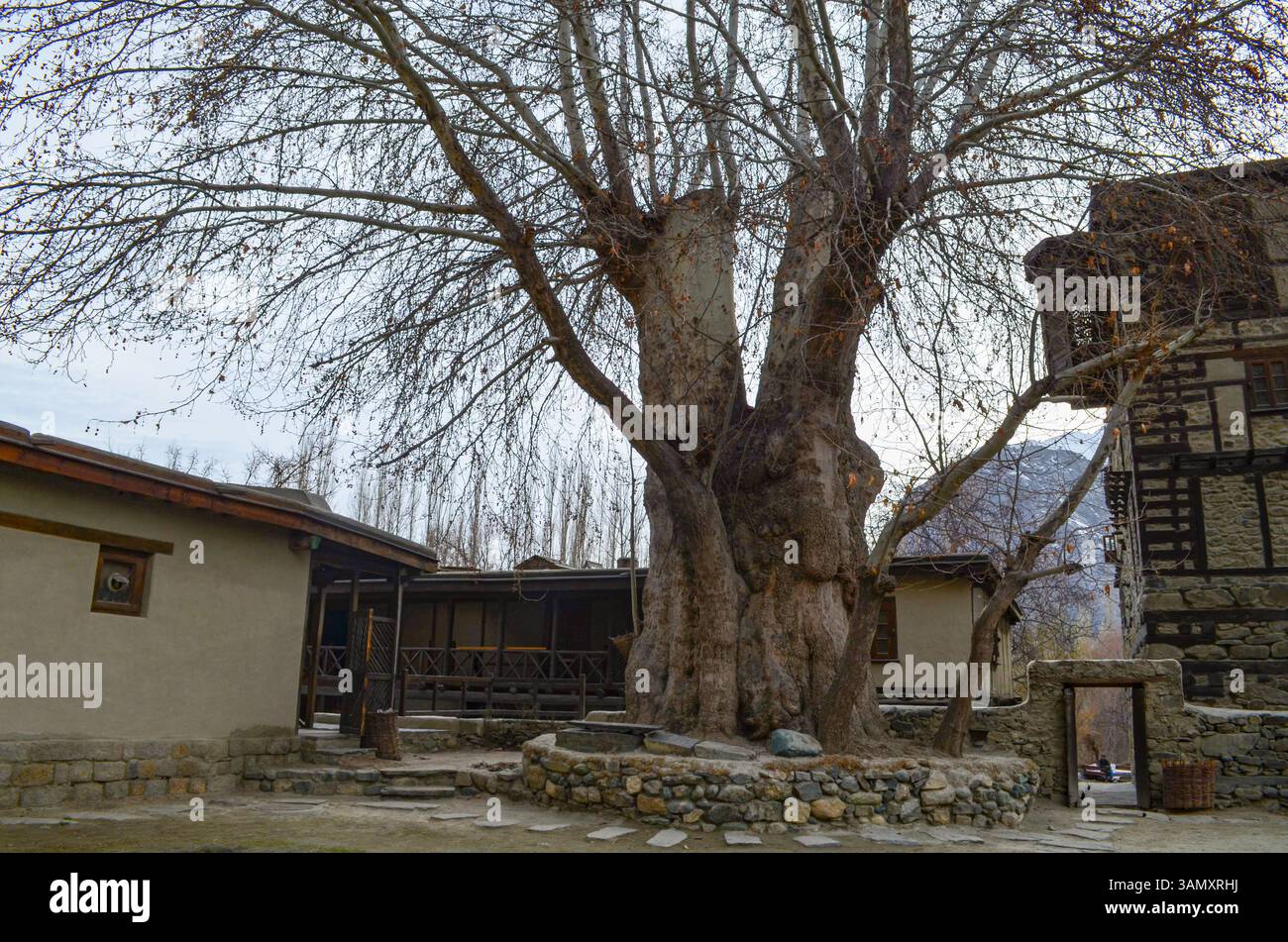 Shigar Fort: A timeless palace on the rock, where history meets the ...