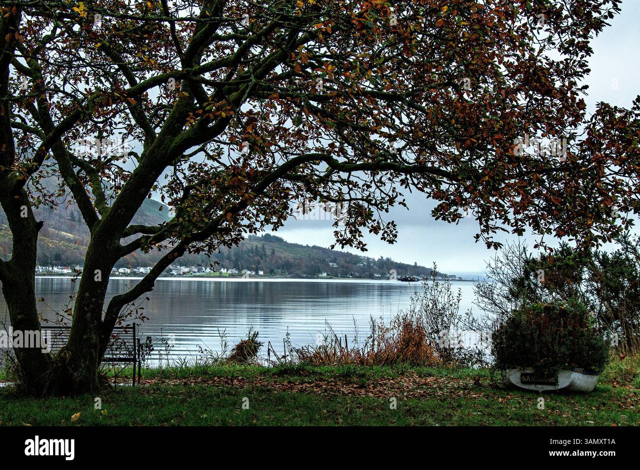 Dunoon over the water hi-res stock photography and images - Alamy
