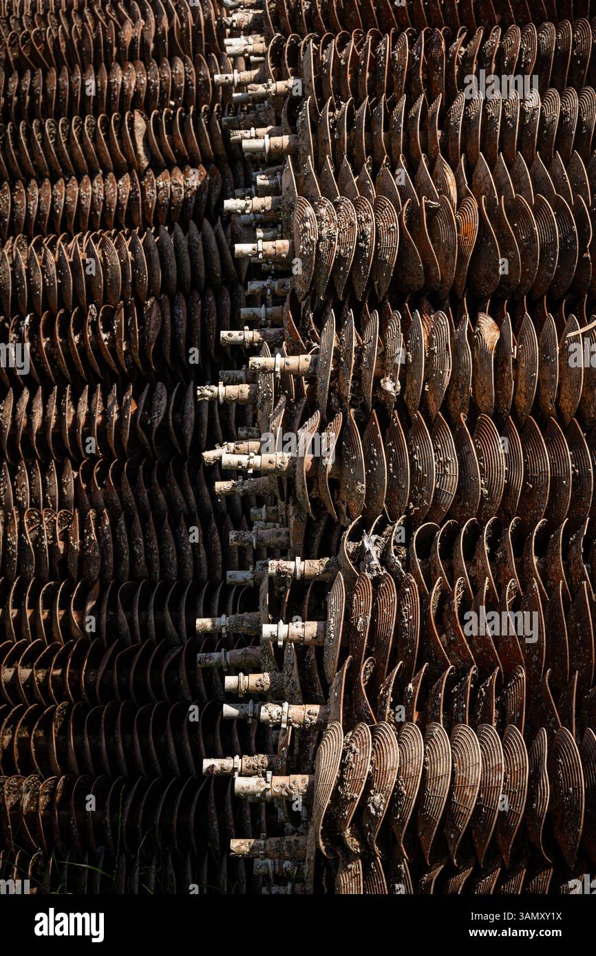 Andernos-les-Bains (south-western France): oysters spat collectors ...