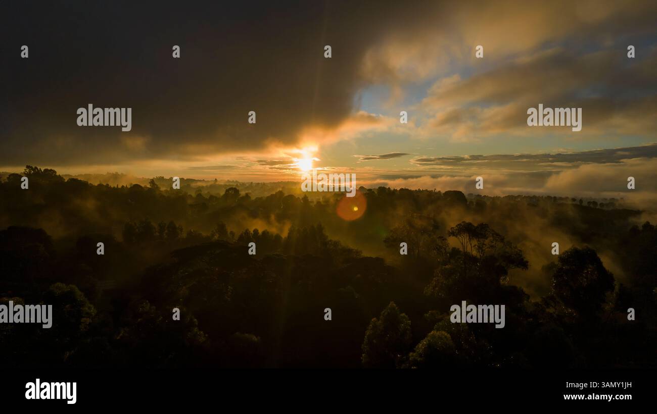 Aerial view of serene sunrise over lush forest with mist and golden ...