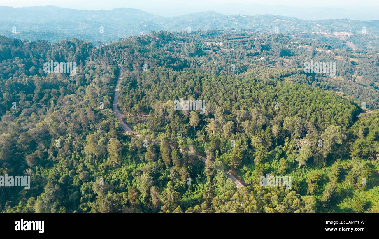Aerial view of lush Katunga forest with trees and mountains, Kathiani ...