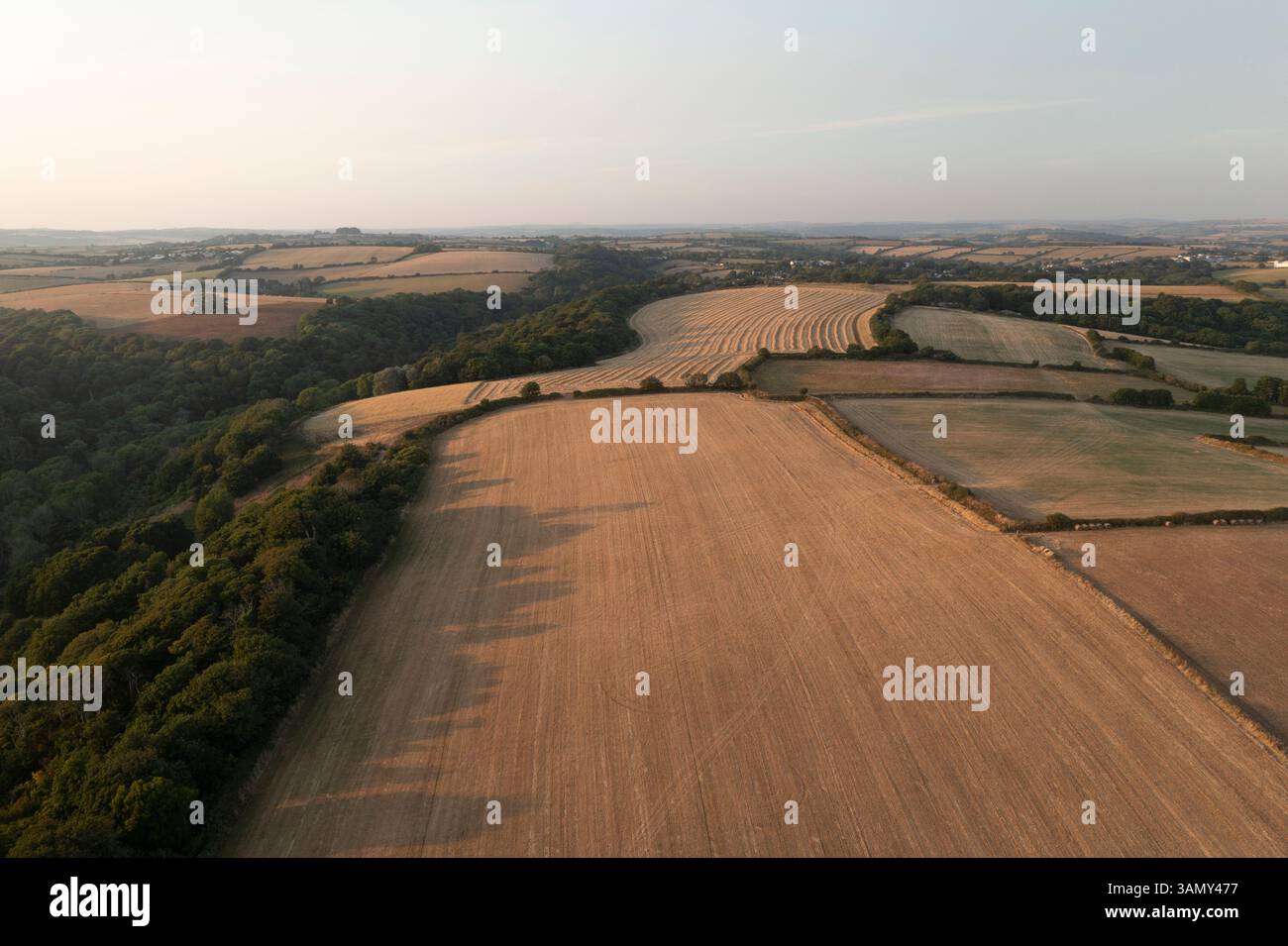 Aerial view of fields over Polridmouth Cove, Cornwall, United Kingdom ...