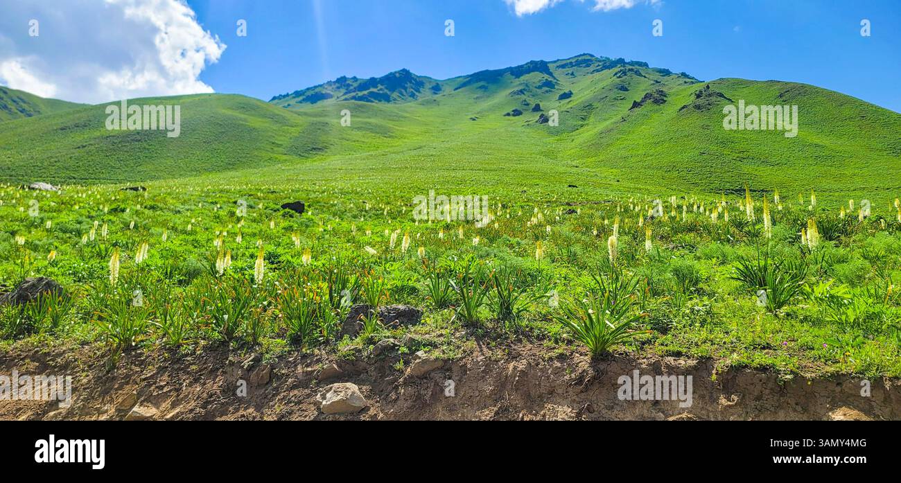 Minimarg: One of the most beautiful valley of Northern Pakistan in ...