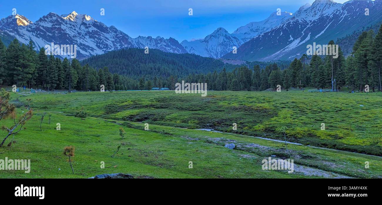 Rama Meadows: Nature's Paradise in the Heart of Gilgit-Baltistan Stock ...